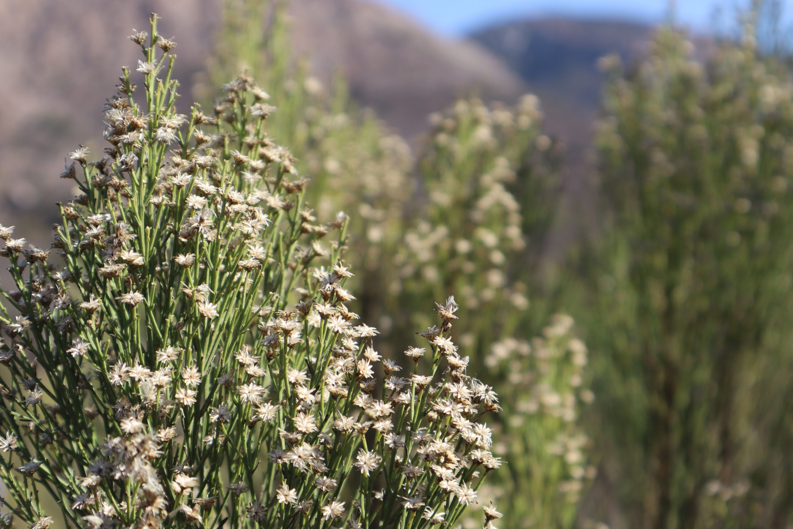 Land+Lenses: Sea & Story – Outside The Lens